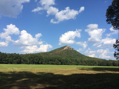 Arkansas Natural Beauty: Wonders Worthy Of Your Bucket List