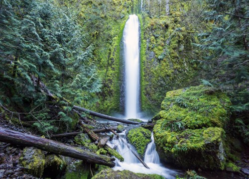 Best Waterfalls in Oregon: 24 Local Favorites & Hidden Gems