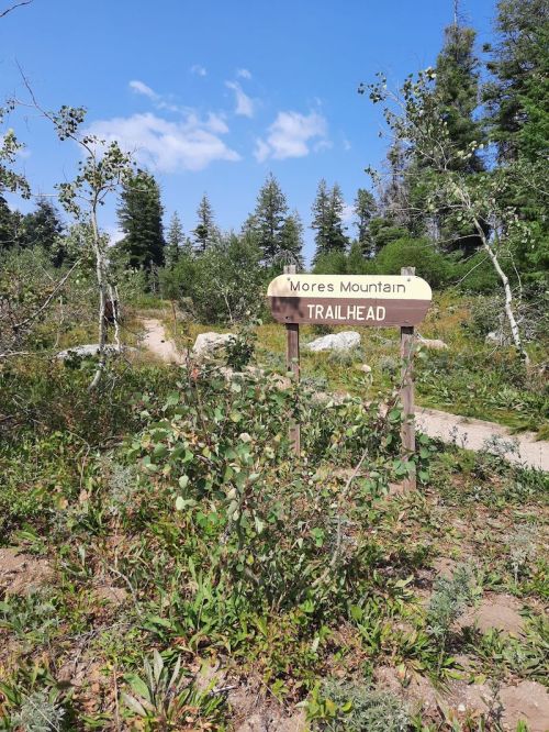Scenic Hike In Idaho: Mores Mountain Loop Trail Near Boise
