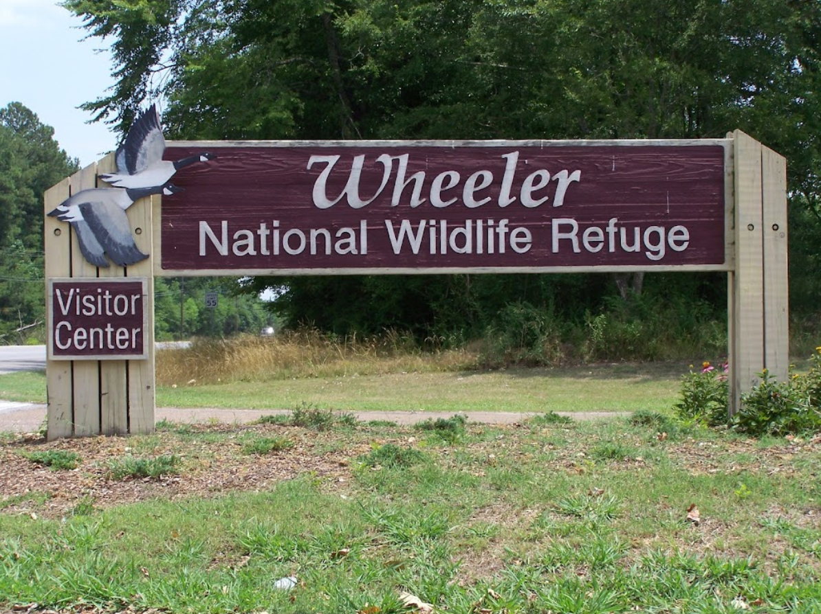 Wheeler National Wildlife Refuge: Largest Wildlife Refuge In Alabama