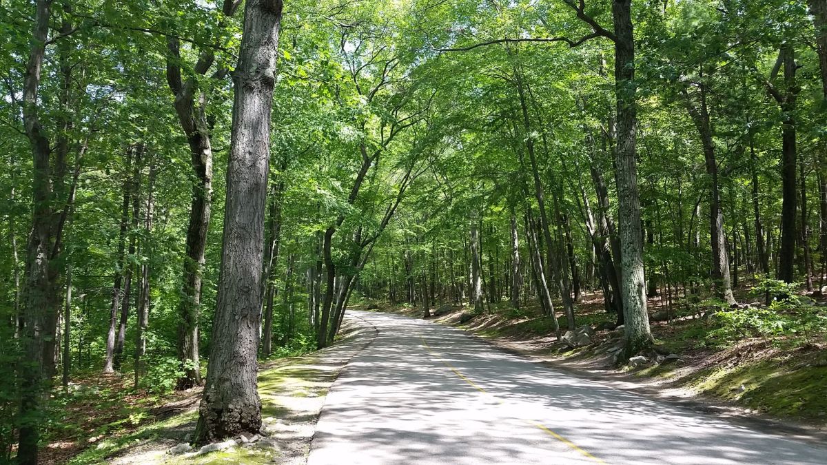 Take A Paved Loop Trail Around This Rhode Island Pond For An Adventure