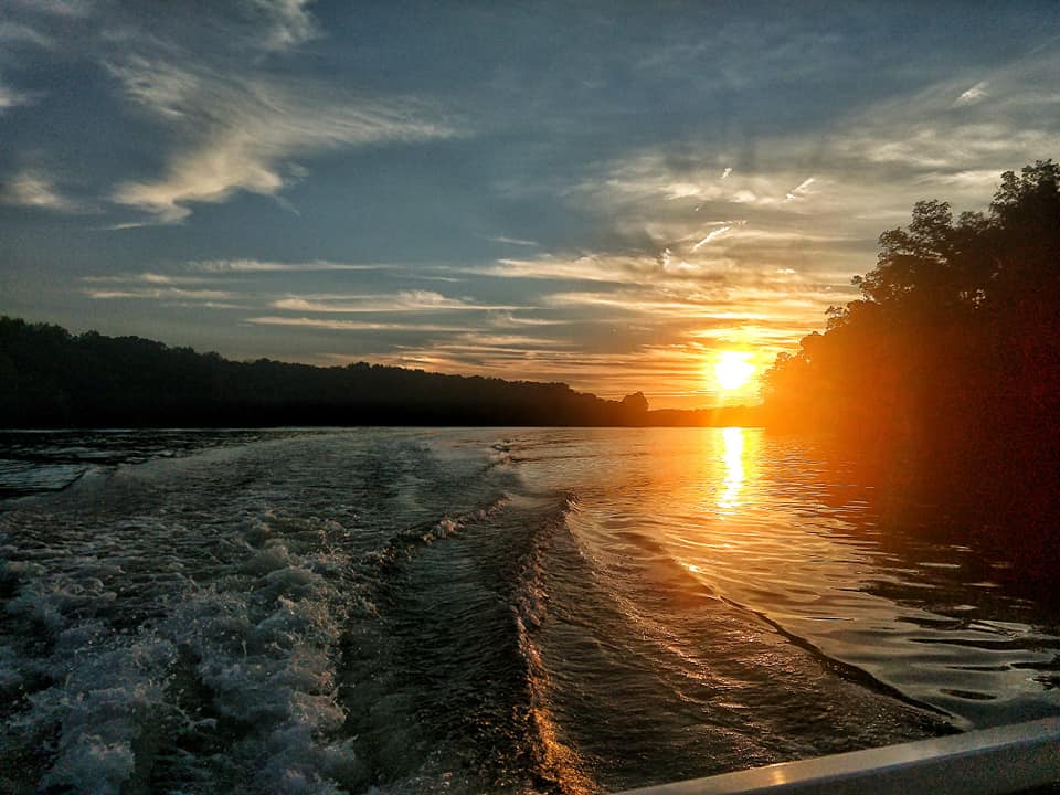 Boone Lake Is The Best Place To Spend A Summer Day In Tennessee