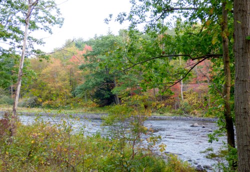 Take The Mohawk Trail Scenic Byway In Massachusetts