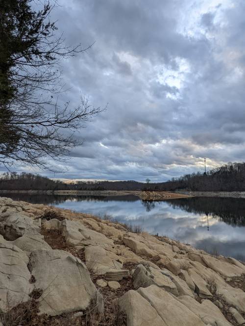 Boone Lake Is The Best Place To Spend A Summer Day In Tennessee