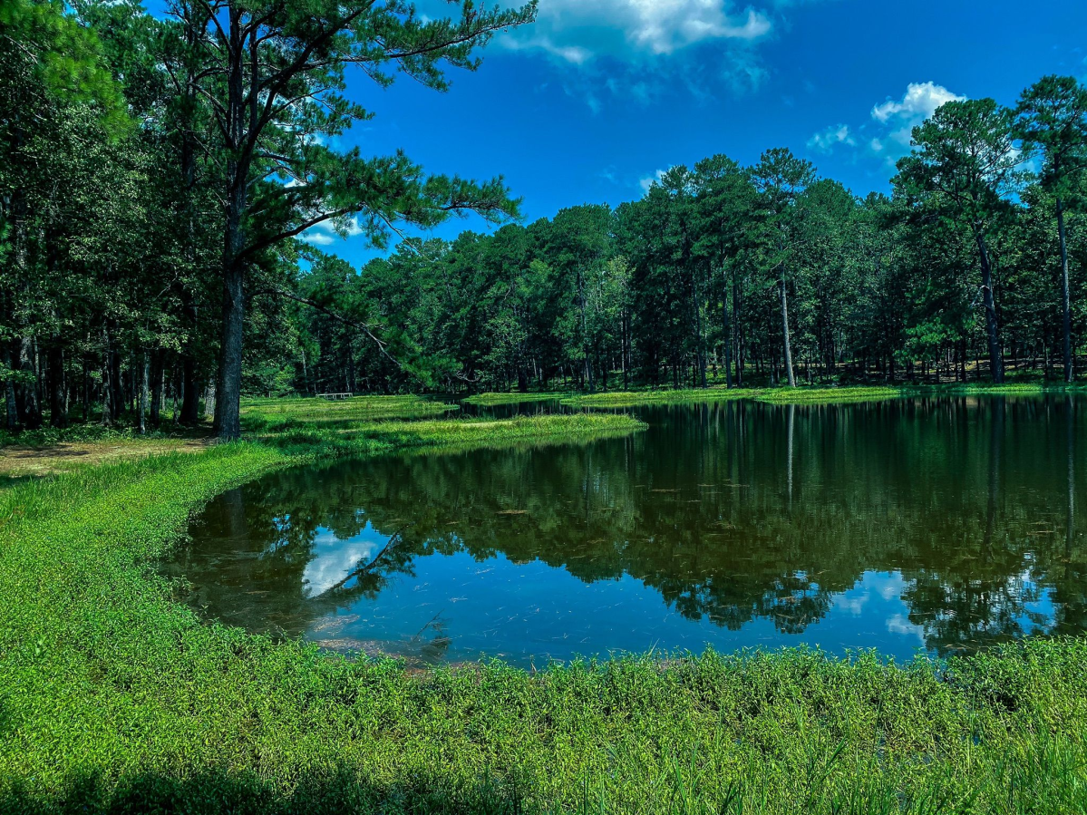 Best Places To Hike In Mississippi: Marathon Lake