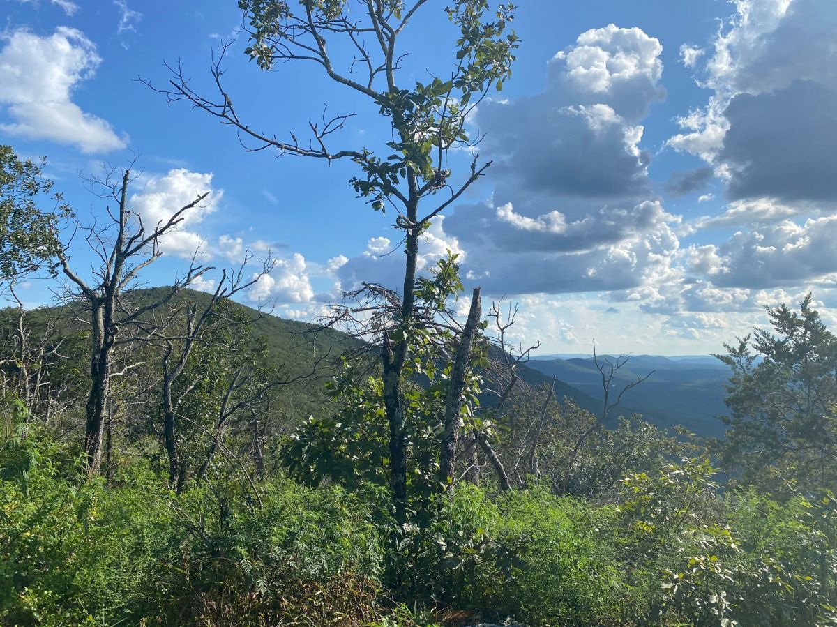 Cheaha Mountain - Alabama Highpoint: An Alabama Trail With A View