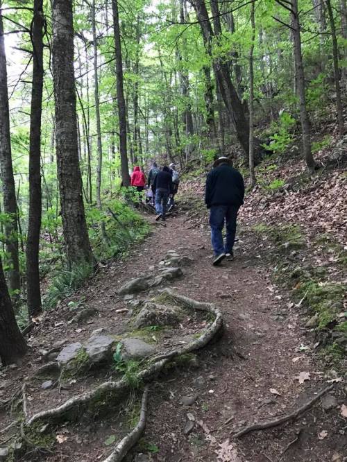 Walker Island Campground: Large Campground In Massachusetts