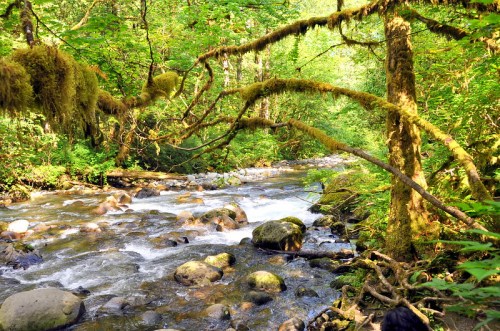 This Road Trip Will Lead You To Countryside Hidden Gems In Washington