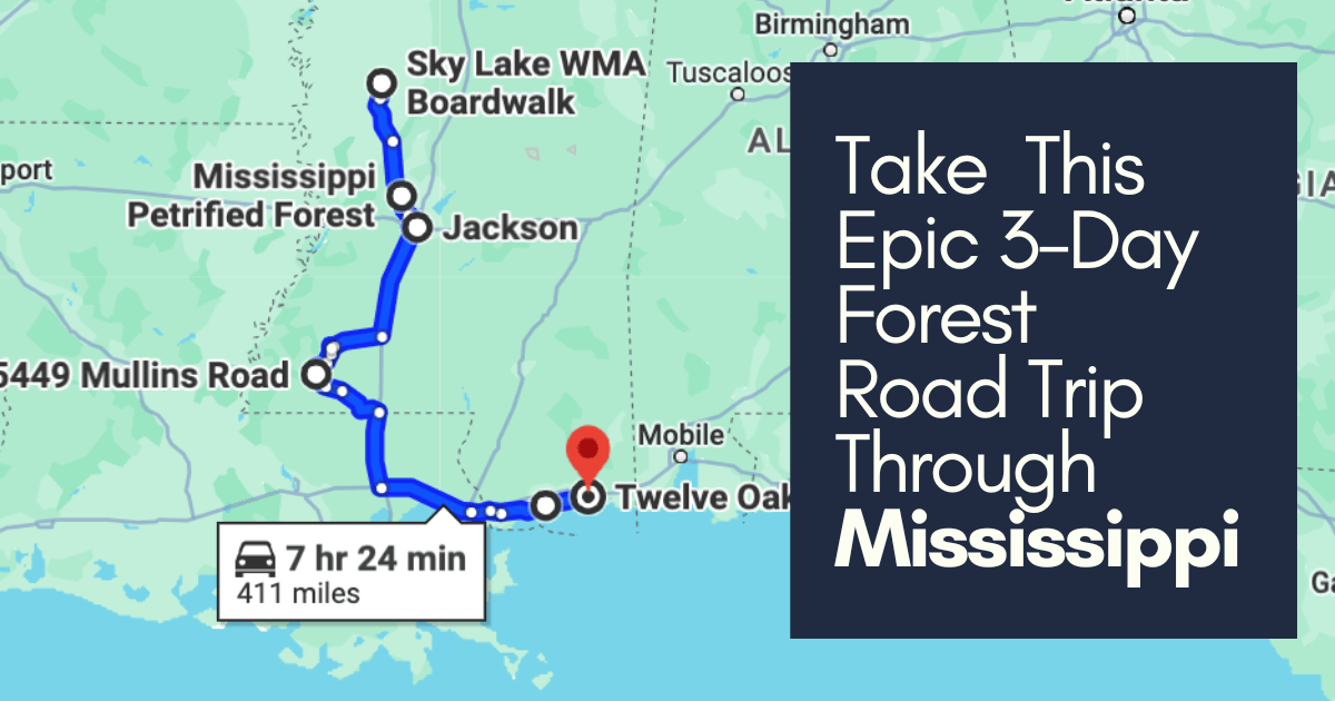 3-Day Road Trip In Mississippi: Visit Ancient Forests