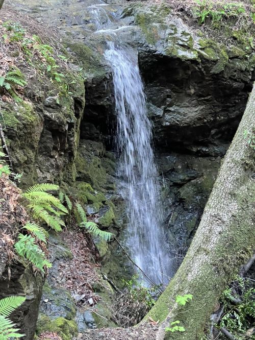 Dawn Falls Is An Amazing Waterfall And Swimming Hole Experience