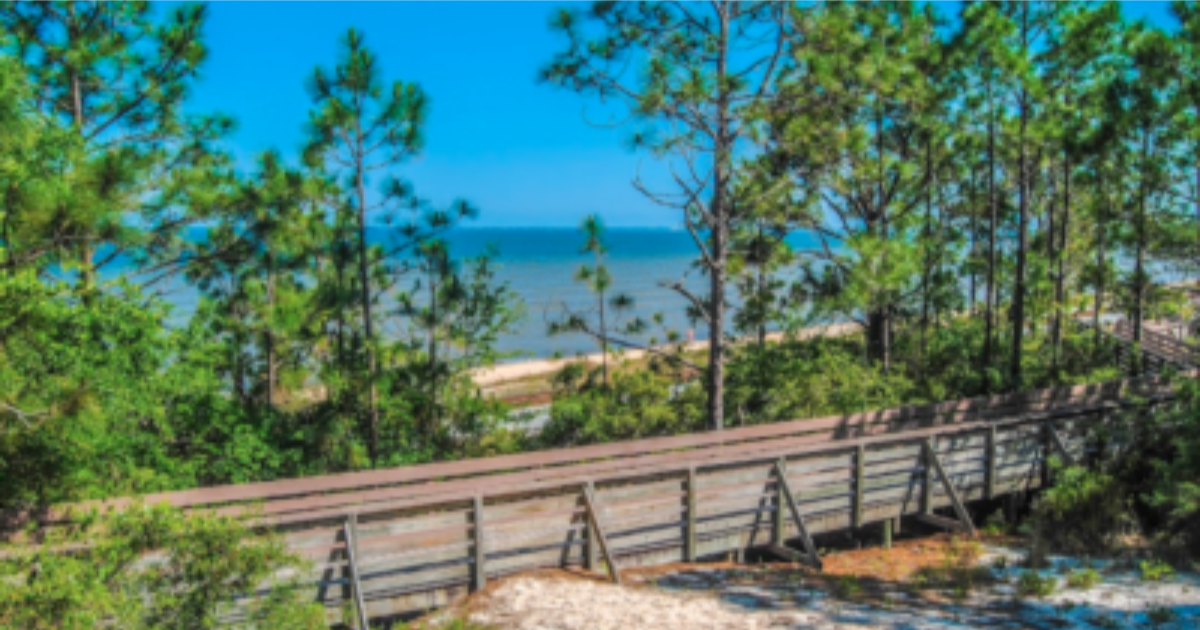 Pensacola Scenic Bluffs Highway: A Scenic Drive Through Florida