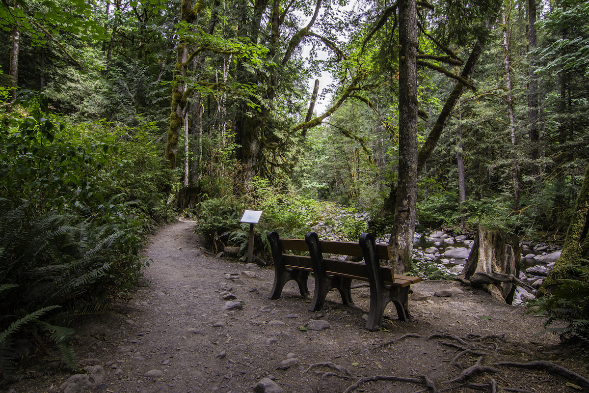 With Footbridges and Waterfalls, The Little-Known Wallace Falls Trail ...