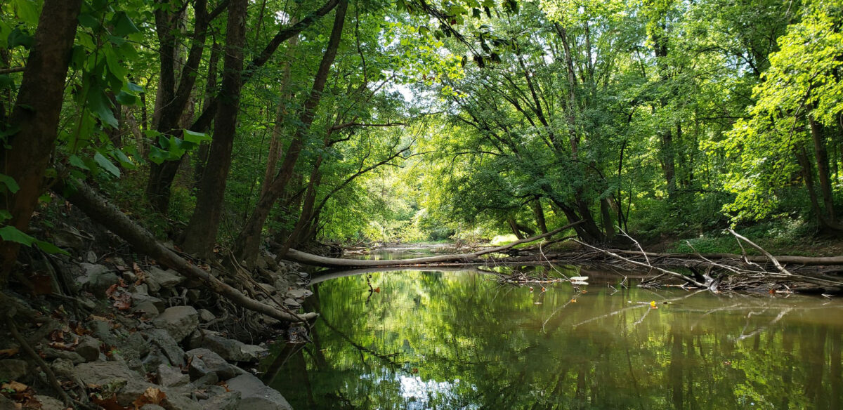 Bicentennial Nature Preserve in Indiana Is A Nature Lover's Dream