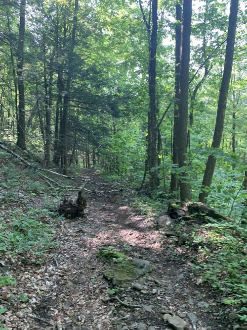 One Of The Most Remote Trails In Connecticut Is So Peaceful