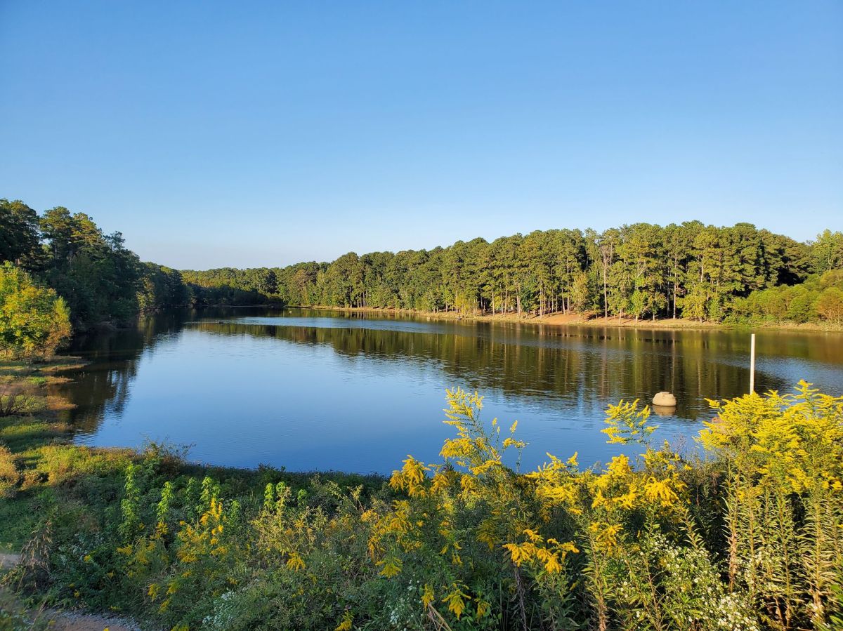 Meander Along A Lake Along the 2-Mile Heath Lake Loop