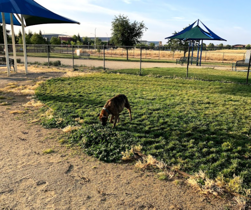 North Natomas Regional Park: Tons Of Fun In Northern California