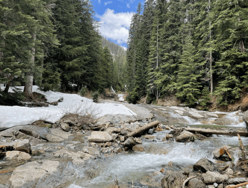 You’ll Love Digging For Crystals At Rockhound Gulch In Washington