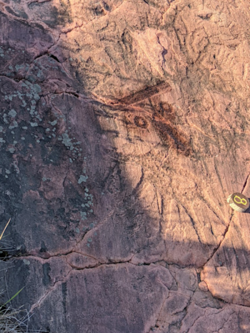 The Jeffers Petroglyphs In Minnesota Are A Unique Archaeological Site