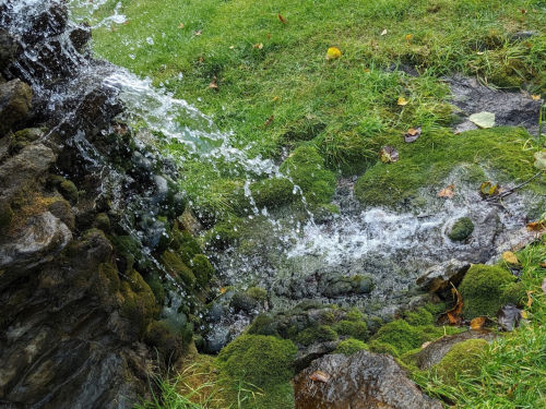 Norway Spring In Norway Michigan Is A Mystical Freshwater Spring