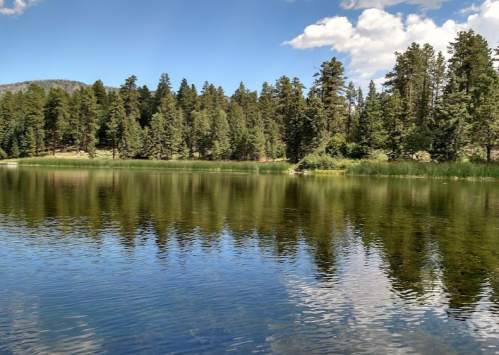 Posey Lake Campground: Avoid The Crowds In Southern Utah