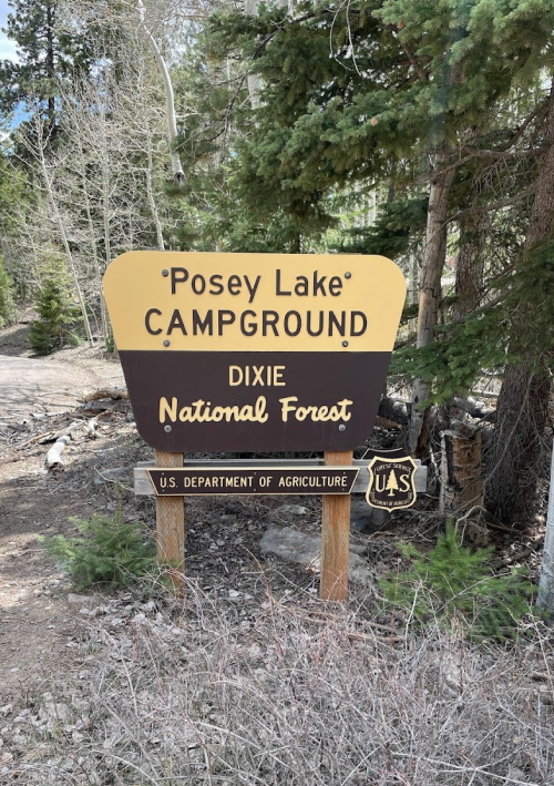 Posey Lake Campground: Avoid The Crowds In Southern Utah