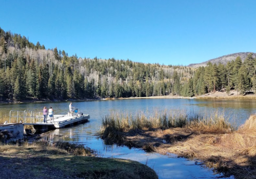 Posey Lake Campground: Avoid The Crowds In Southern Utah