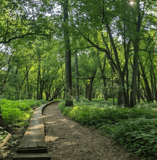 Minnesota Road Trip Ideas: 11 Best Road Trips + Itinerary