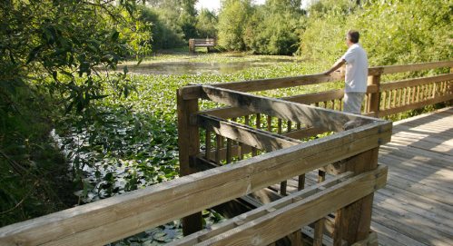 Blue Lake Regional Park: The Best Kid-Friendly Summer Spot In Oregon