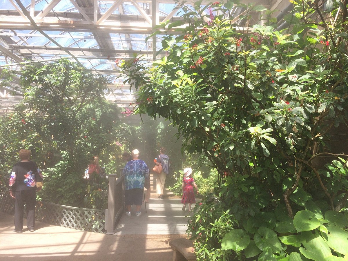 One Of The Largest Butterfly Conservatories In The U.S. Is In Colorado ...