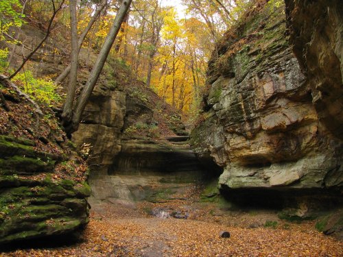 Matthiessen State Park Fort: Best State Parks In Illinois
