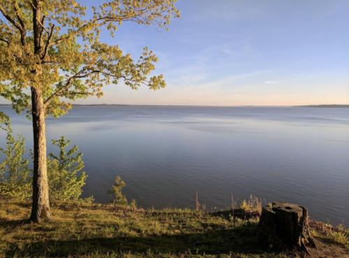 12 Beautiful Lakes In Mississippi You Must Visit This Summer