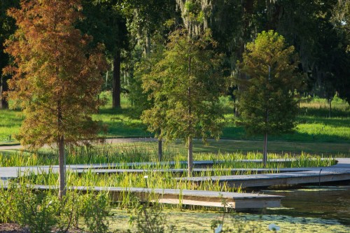 Visit The Houston Botanic Garden In Texas For A Peaceful Escape