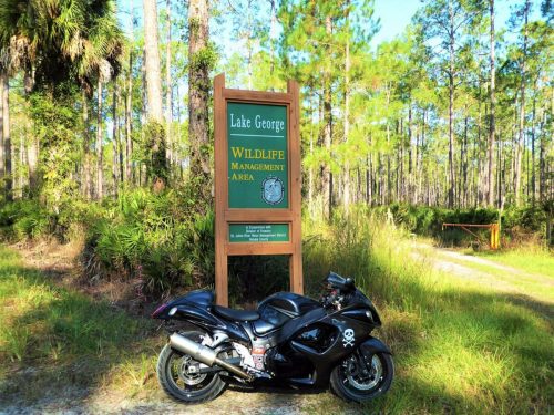 Visit One Of The Most Underrated Lakes In Florida: Lake George