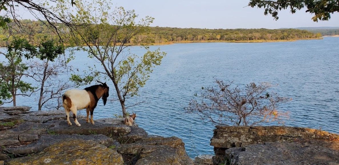 Kayak To Goat Island At Tenkiller State Park In Oklahoma