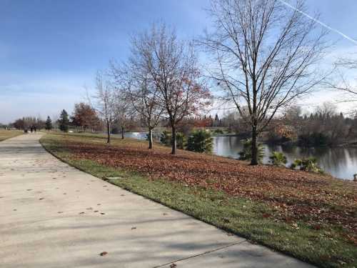 North Natomas Regional Park: Tons Of Fun In Northern California