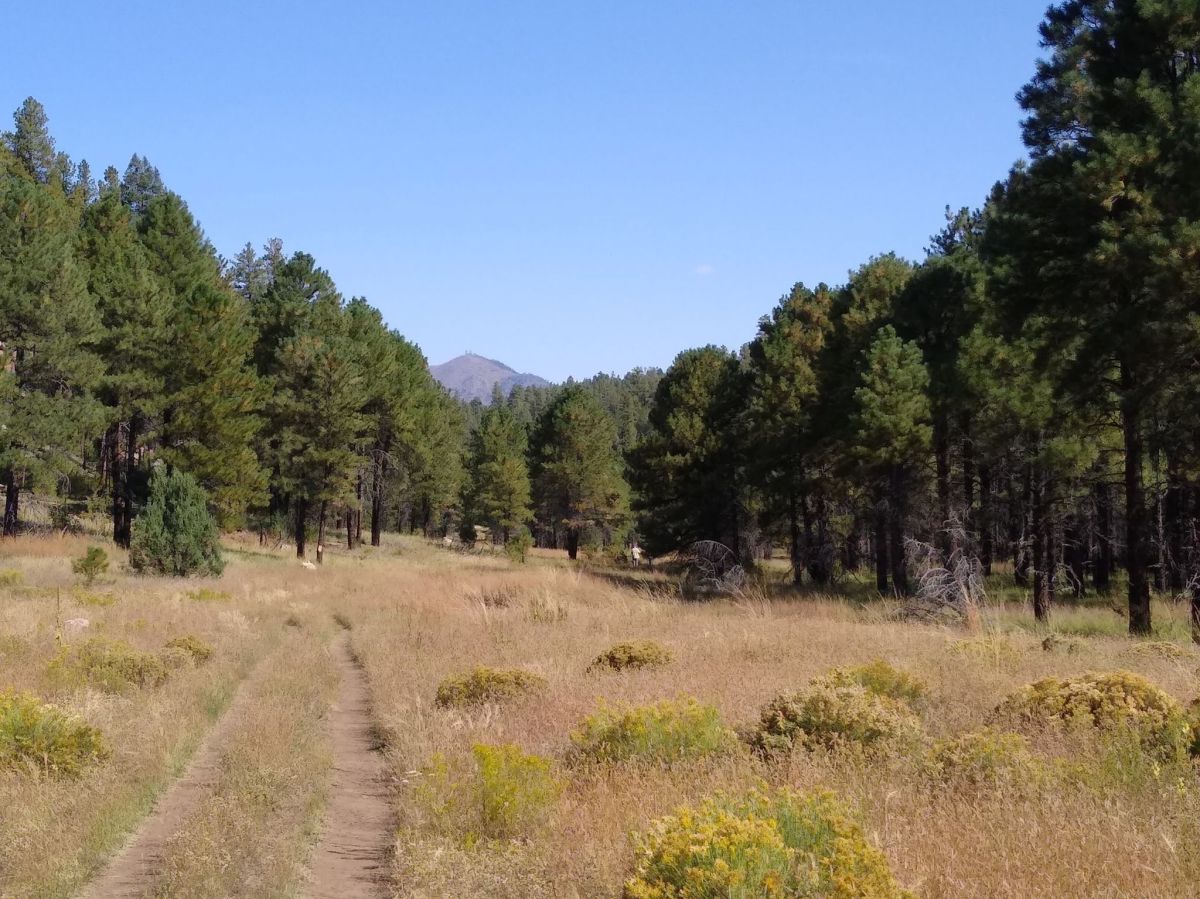 Easy Hikes In Arizona: Sandys Canyon Trail