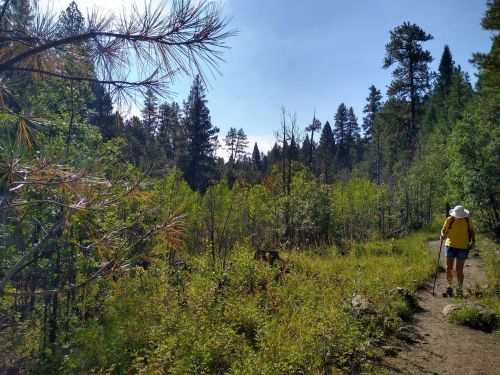 Easy Hikes In Arizona: Sandys Canyon Trail