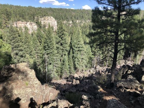 Easy Hikes In Arizona: Sandys Canyon Trail