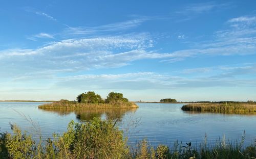 3 Scenic Trails Surround The Small Town Of Lewes, Delaware