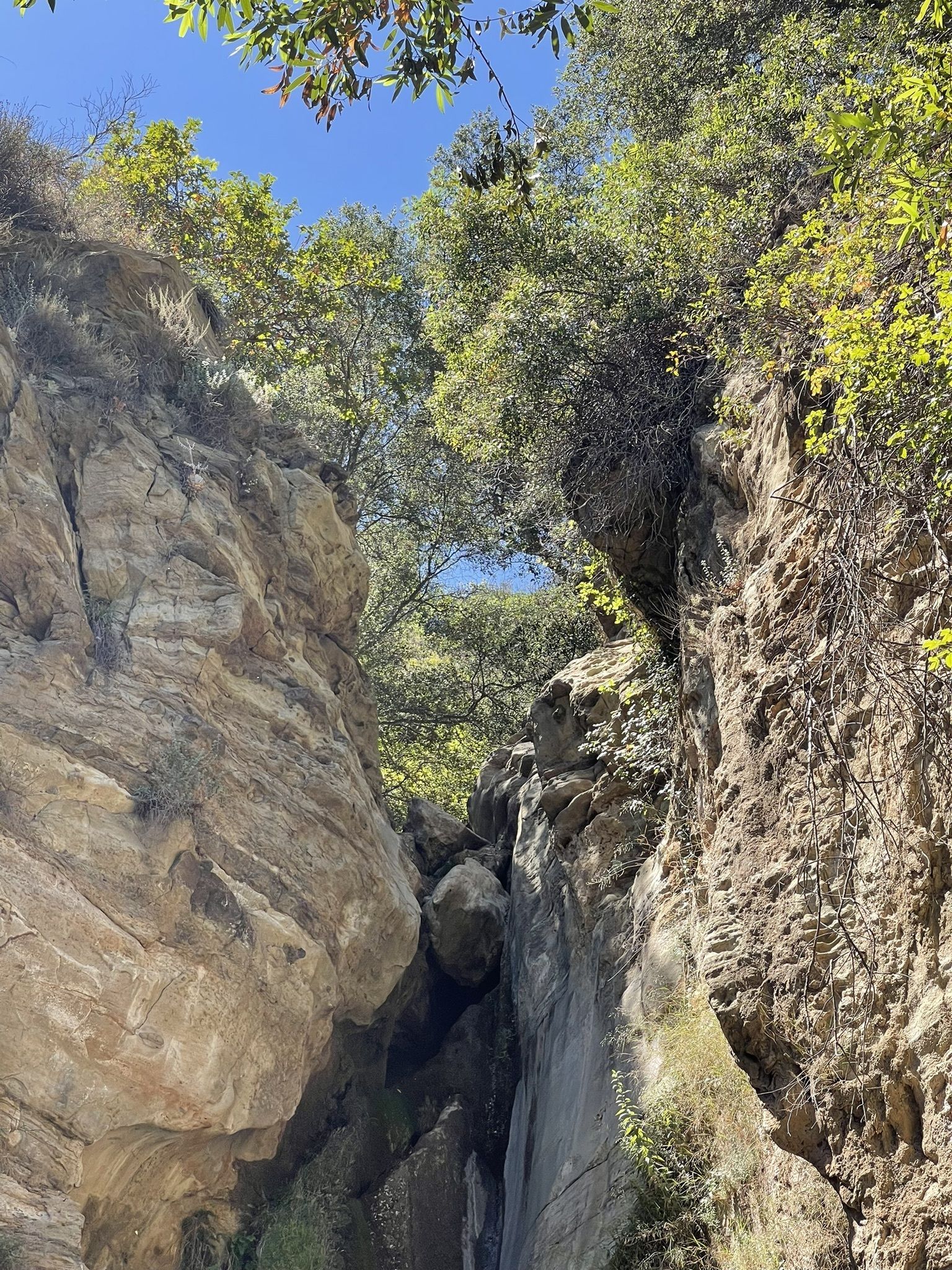 The Black Star Canyon Falls Trail In Southern California Was Named One ...