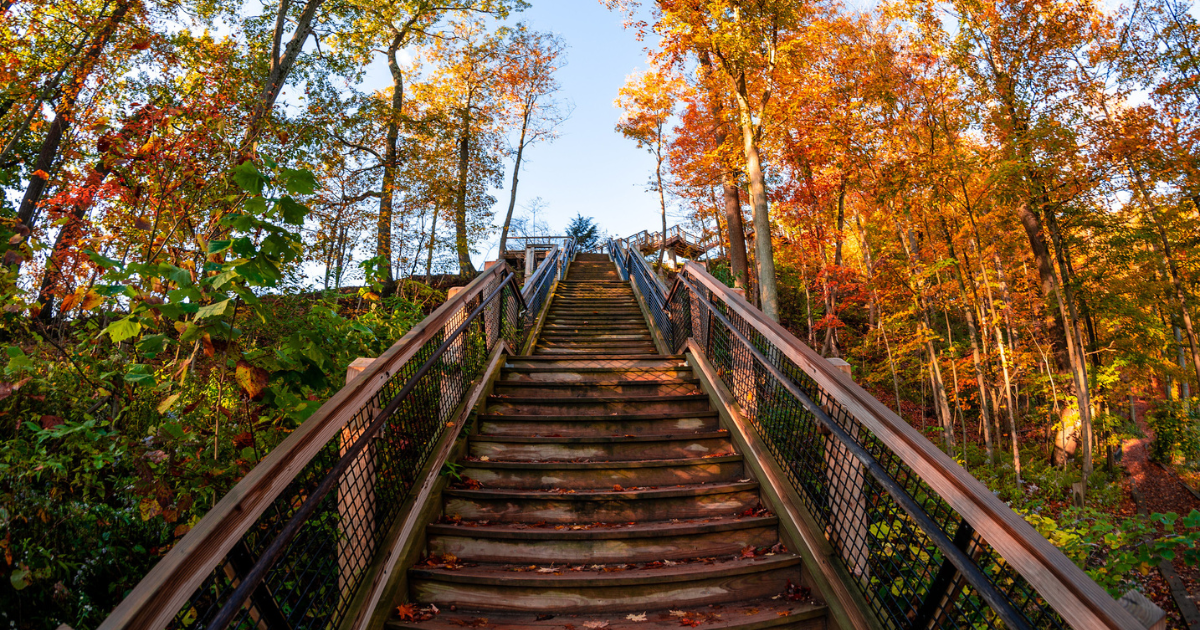 8 Best Hikes In Cleveland That Are Waiting To Be Explored