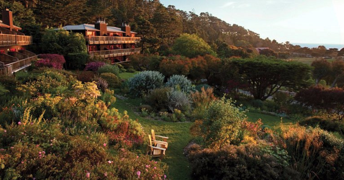 Immerse Yourself In Nature At These Incredible And Luxurious Green ...