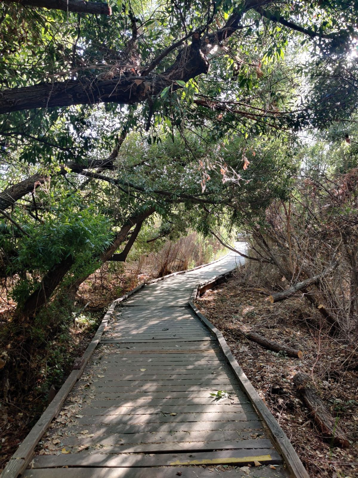 Hike This Peaceful Boardwalk Trail In Southern California