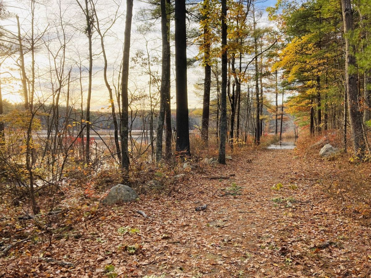 Wander Along This Peaceful Trail In Massachusetts
