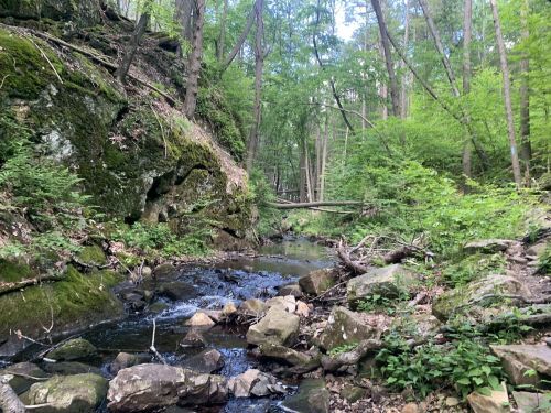 The Largest State Forest In Connecticut Is So Incredible