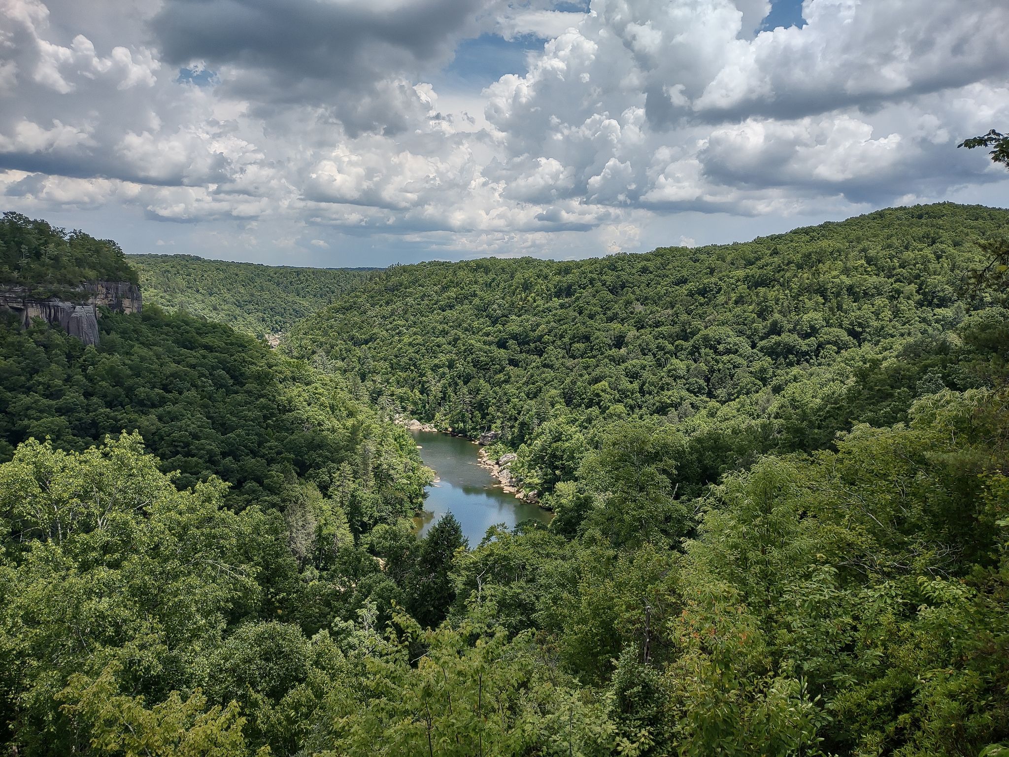 7 Glorious Waterfront Trails In Tennessee To Take On A Summer Day