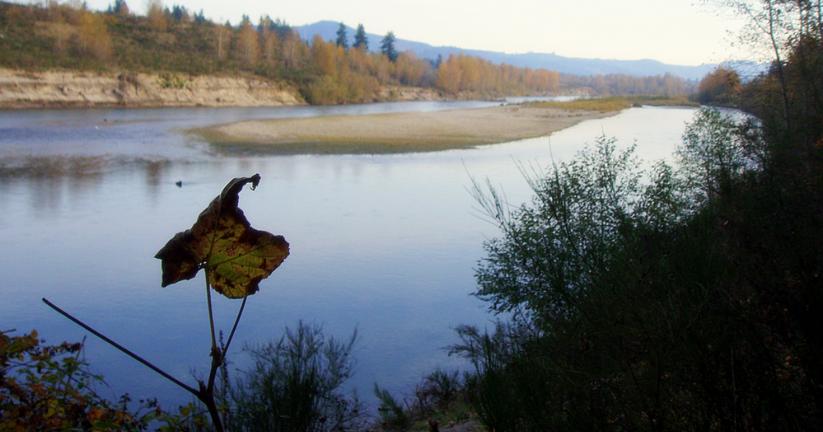 The Story Behind The Riffe Lake Underwater Town In Washington