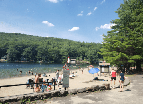 Camping In Massachusetts: At The Waterfront Erving State Forest