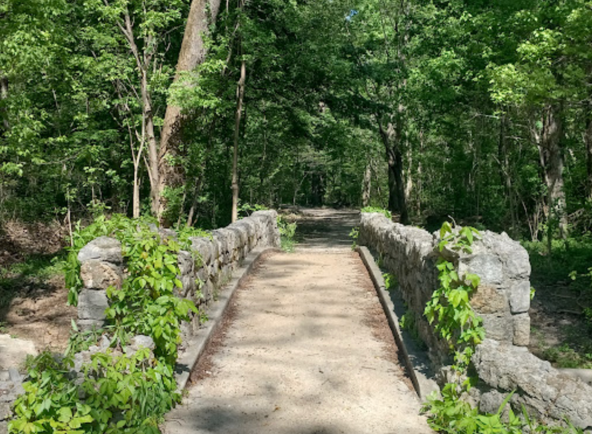 Old Forest State Natural Area Has The Oldest Trees In Tennessee
