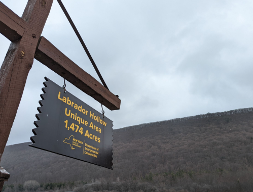 Enjoy This Easy Boardwalk Trail At Labrador Hollow Unique Area